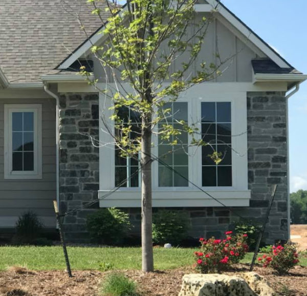 Columbia Ashlar Style Natural Thin Stone Veneer Accent Walls | Quarry Mill