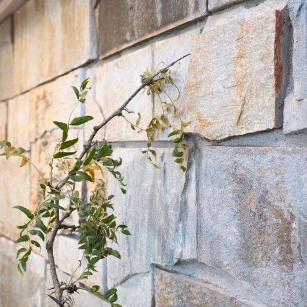 Westgate Castle Rock Style Real Quartzite Thin Stone Veneer | Quarry Mill