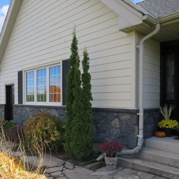 Dublin Black Dimensional Granite Natural Thin Stone Veneer | Quarry Mill