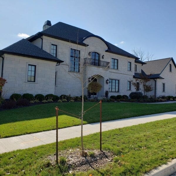 Alpine White Dimensional Real Limestone Thin Veneer | Quarry Mill